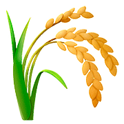 🌾 Emoji Sheaf of Rice on Apple iOS 11.1